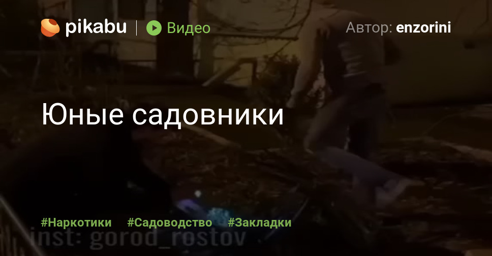 Юные садовники | Пикабу